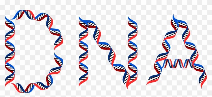 This Free Icons Png Design Of Dna Typography - Dna .png, Transparent ...