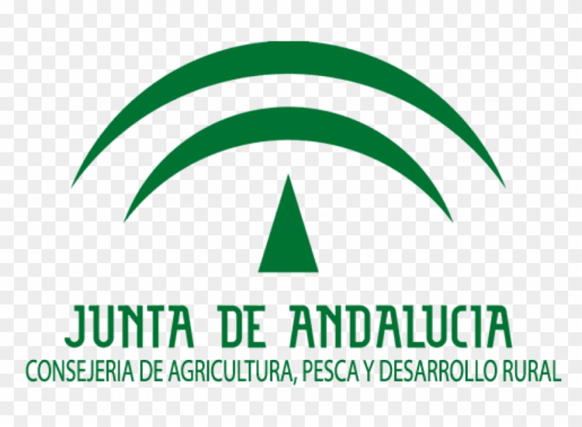 Regional Government Of Andalusia, HD Png Download - 960x660(#4618950 ...