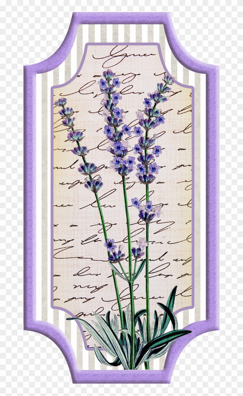 Digi Stemple By Alicecreations - Drawings Of Lavender Png, Transparent ...