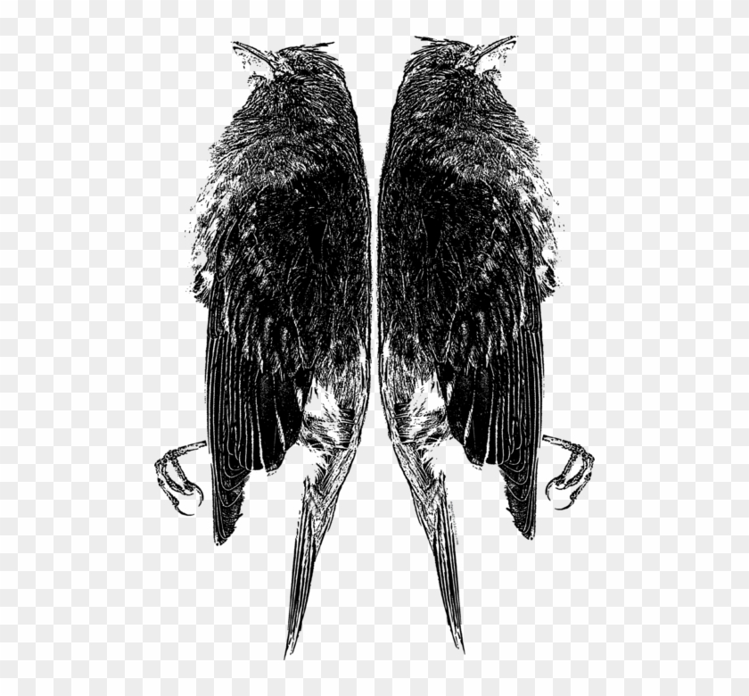 Click And Drag To Re position The Image If Desired Sketch HD Png click-and-drag-to-re-position-the-image-if-desired-sketch-hd-png