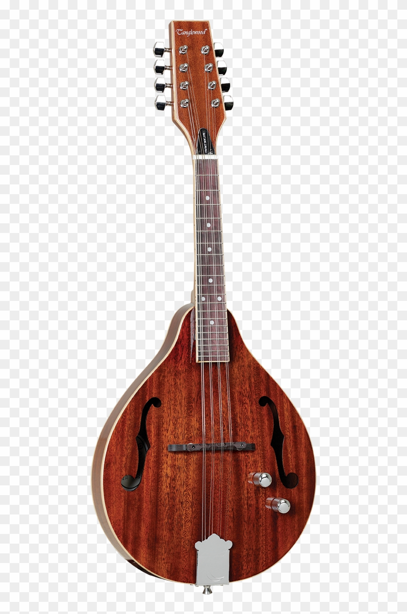 Mandolin Twmtmhste - Viola, HD Png Download - 1200x1200(#4657783) - PngFind