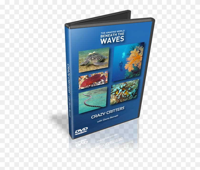 What A Fantastic Dvd - Graphic Design, HD Png Download - 500x660 ...