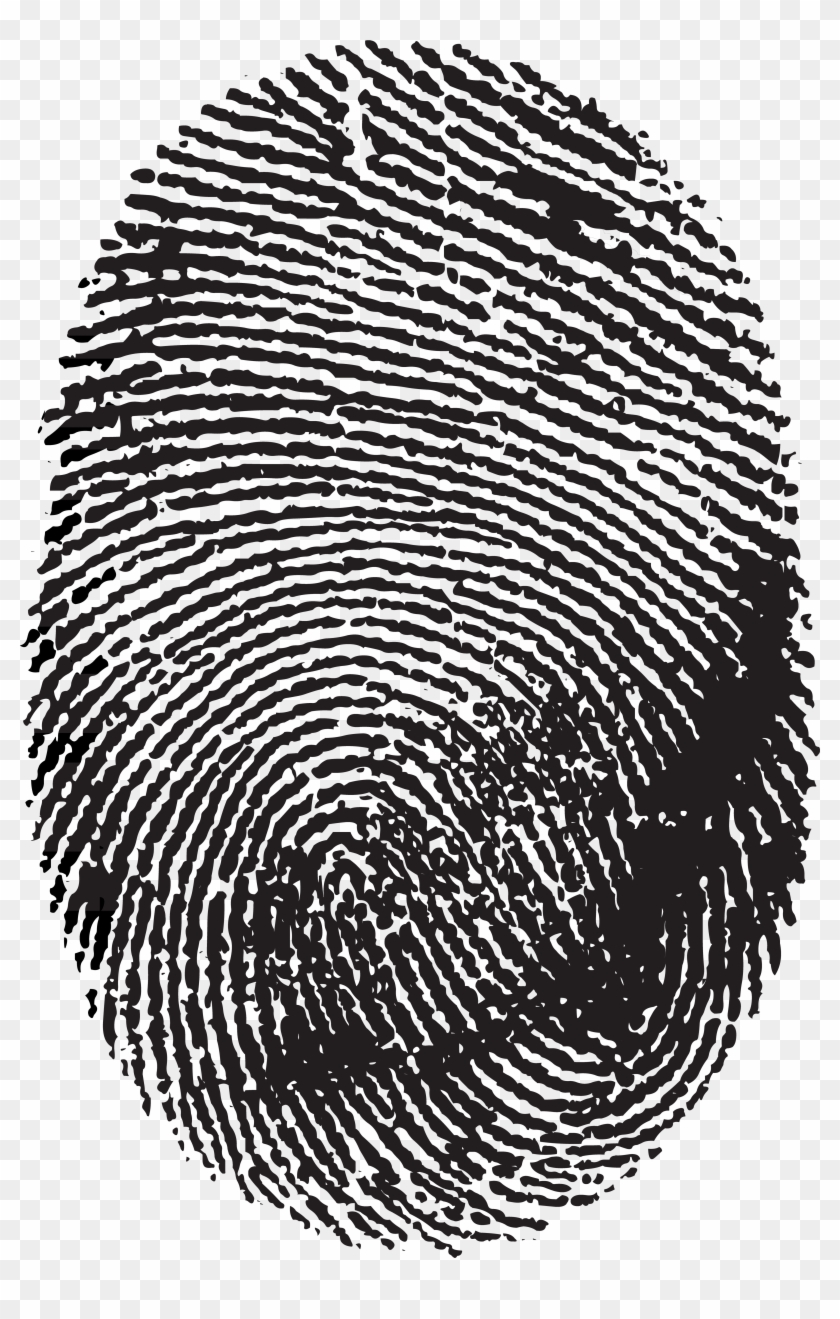 Transparent Background Fingerprint Png, Png Download - 4597x7000 ...