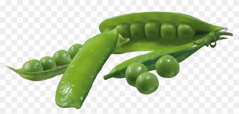 Pea Pods Png Picture - Green Peas Vegetables Png, Transparent Png ...