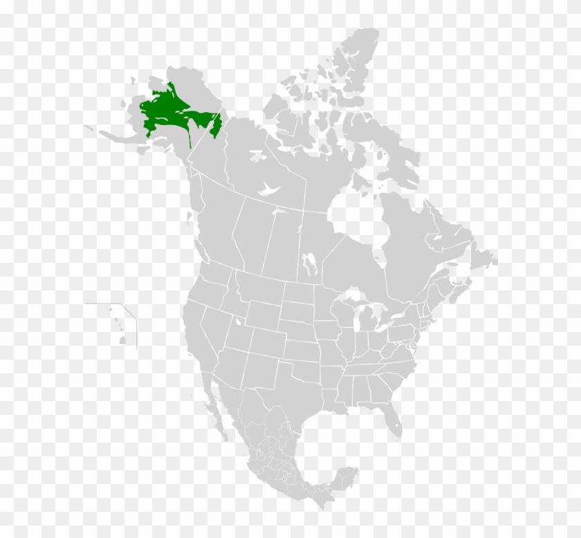 Saint Elias Mountains Map, HD Png Download - 600x698(#4724273) - PngFind