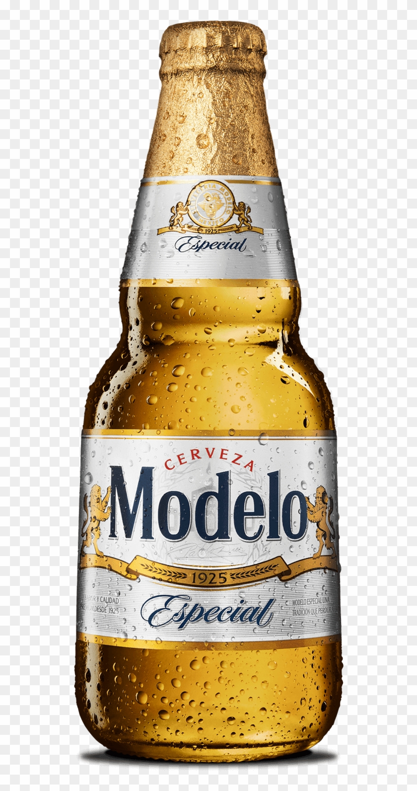Modelo Especial, HD Png Download - 600x1550(#4730944) - PngFind