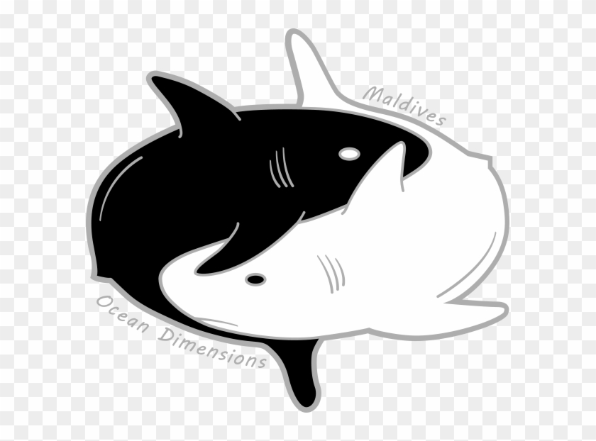 Ocean Dimensions Maldives - Great White Shark, HD Png Download ...
