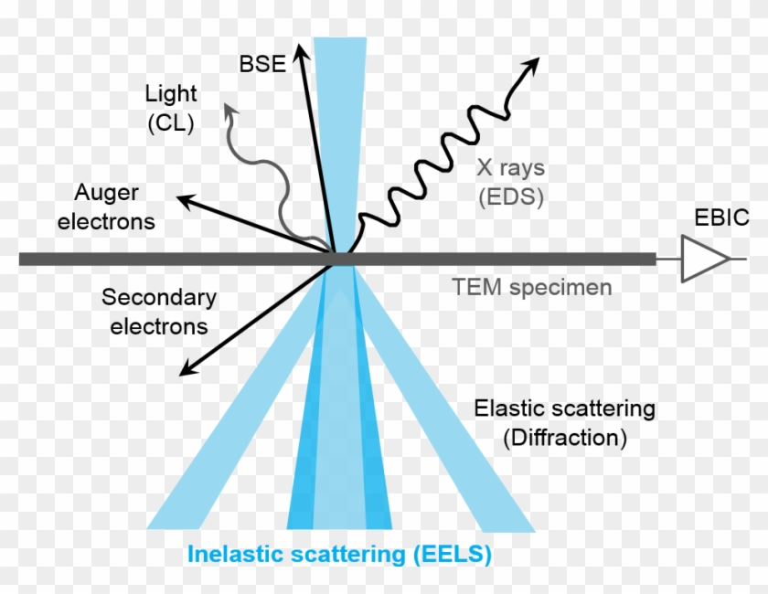 Tem Specimen Beam Interactions - Electron Matter Interaction Tem, HD ... Tem Specimen Beam Interactions - Electron Matter Interaction Tem, HD ...