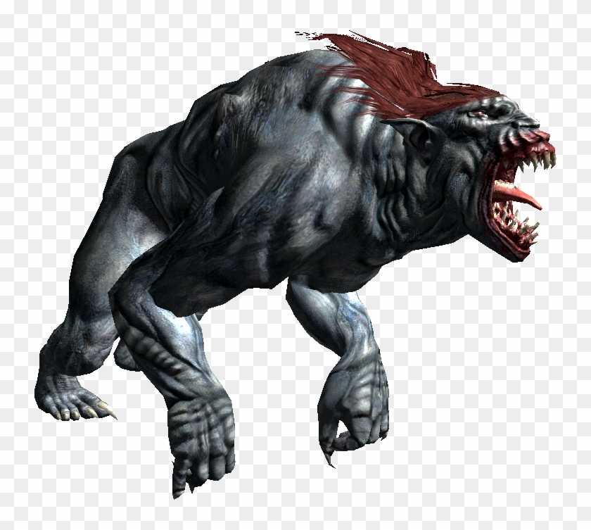 The Last Wish Witcher - Strige The Witcher, HD Png Download - 748x673 ...