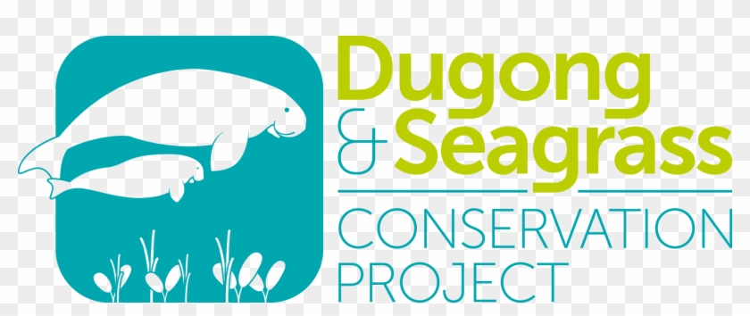 26142201273 171c5e1acd O - Dugong, HD Png Download - 1754x657(#4749297 ...