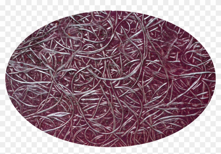 It Has The Ability To Be As Shiny As Paint On A New - Circle, HD Png ...
