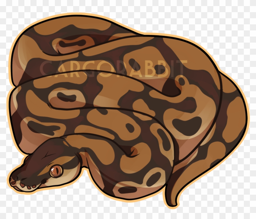 Ball Python, HD Png Download - 1000x1000(#4781973) - PngFind