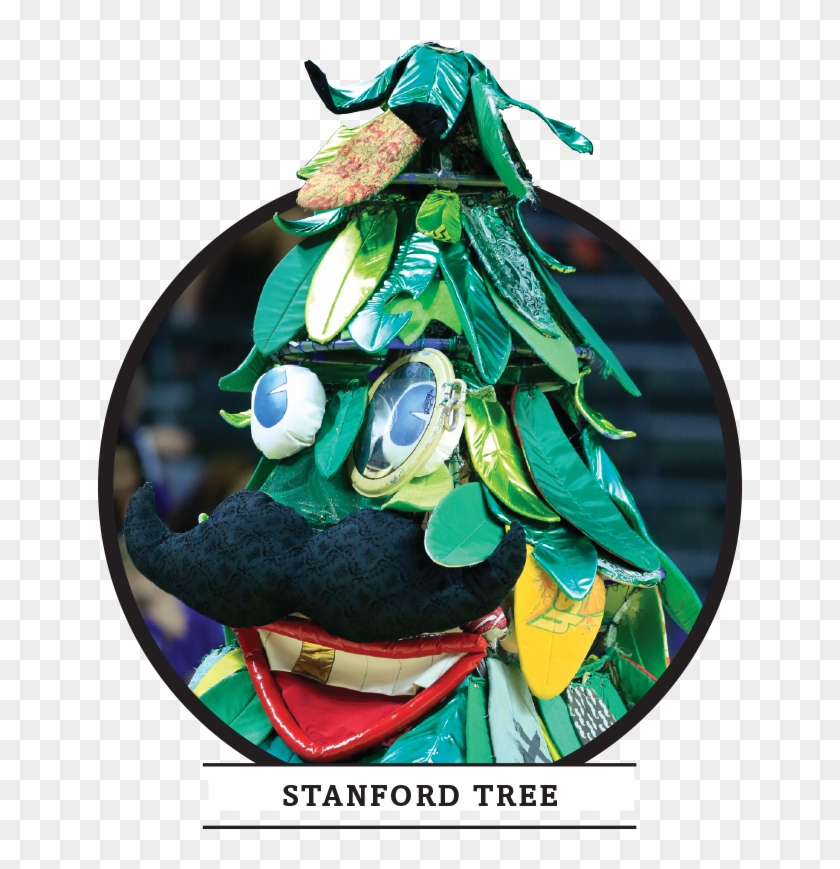 No Mascot Whatsoever - Christmas Tree, HD Png Download - 900x791 ...