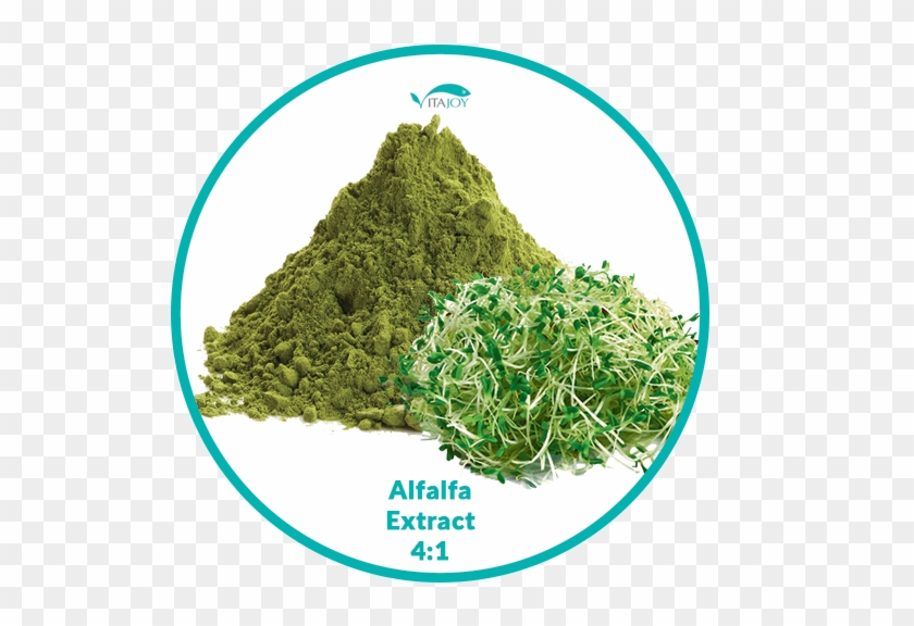 Alfalfa Extract - Moss, HD Png Download - 864x864(#4798225) - PngFind