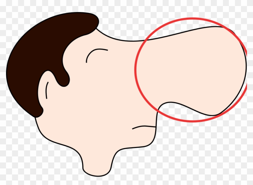 Nose Png, Transparent Png - 900x617(#483101) - PngFind