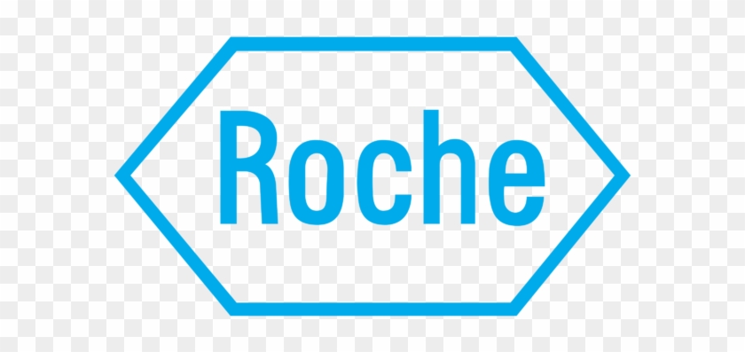 Roche Transparent, HD Png Download - 800x600(#4816270) - PngFind