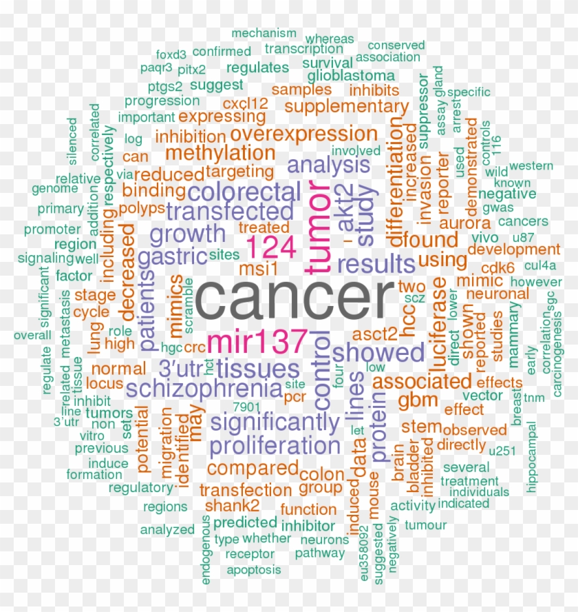 Sort By - Trump Tweets Word Cloud, HD Png Download - 1093x1104(#4834989 ... Sort By - Trump Tweets Word Cloud, HD Png Download - 1093x1104(#4834989 ...