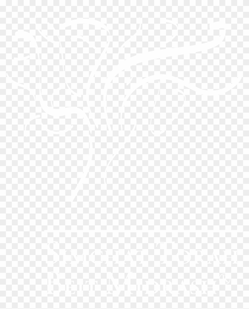 Stbm & Ralph Messer - Johns Hopkins Logo White, HD Png Download ...