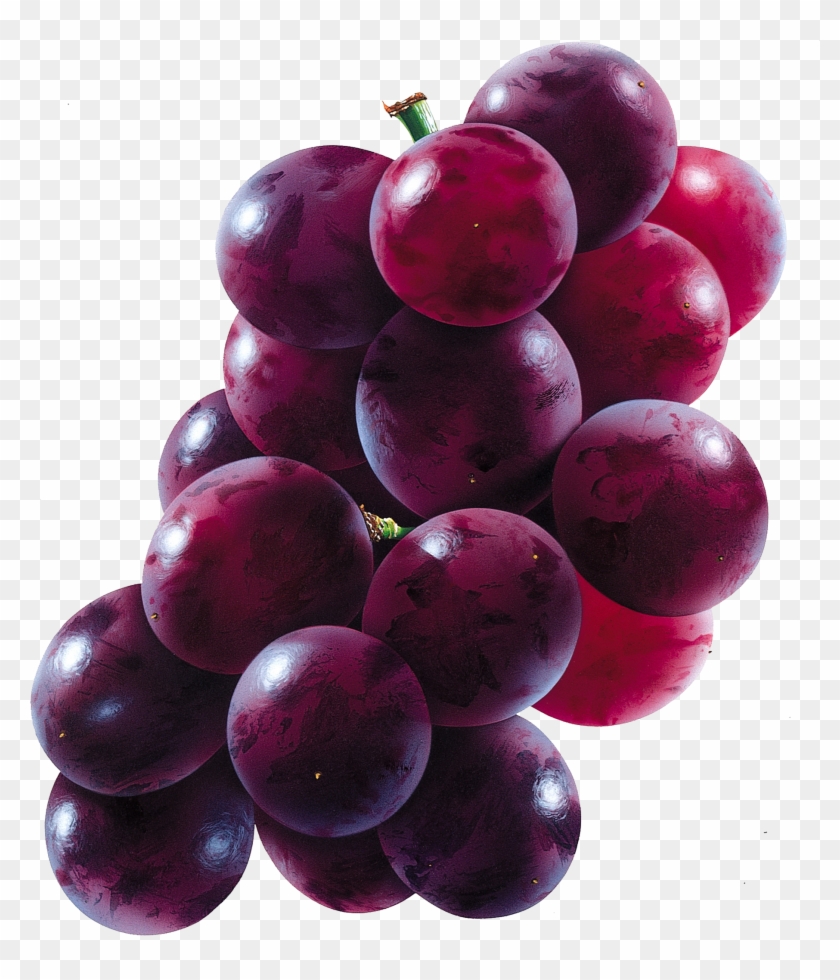 Grapes - Grape Png, Transparent Png - 1858x2081(#495722) - PngFind