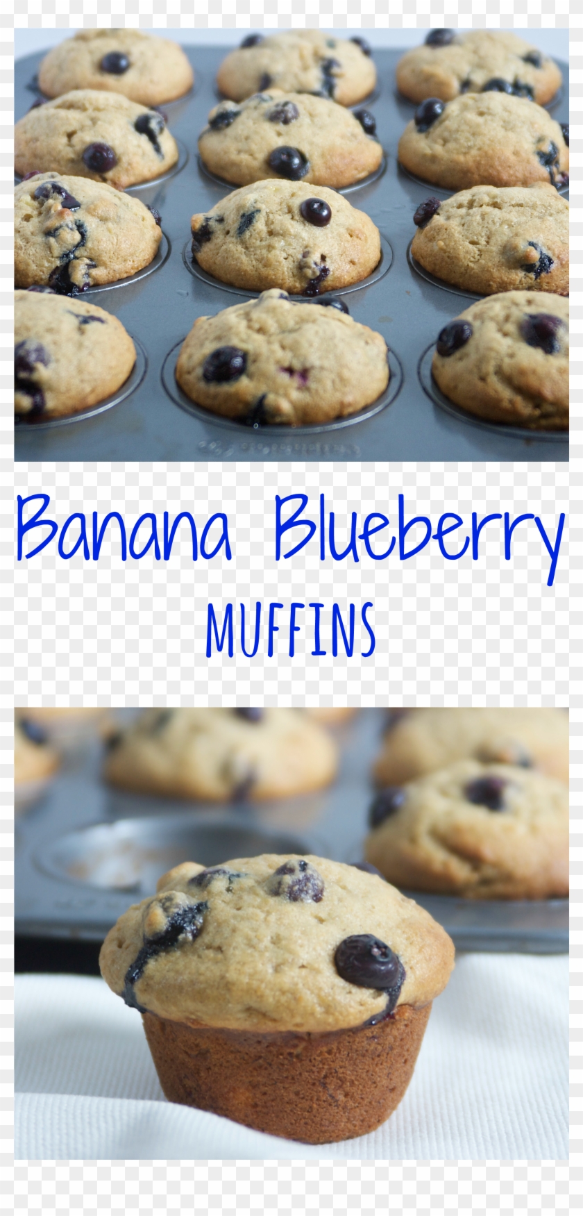 Blueberry Muffin Png, Transparent Png - 1982x3999(#4931757) - PngFind