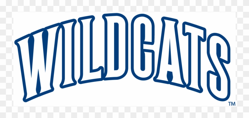 Villanova Wildcats Iron On Stickers And Peel-off Decals - Villanova ...