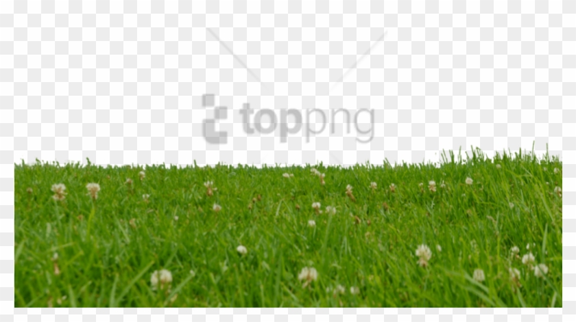 Farmland Png Png Image With Transparent Background - Lawn, Png Download ...