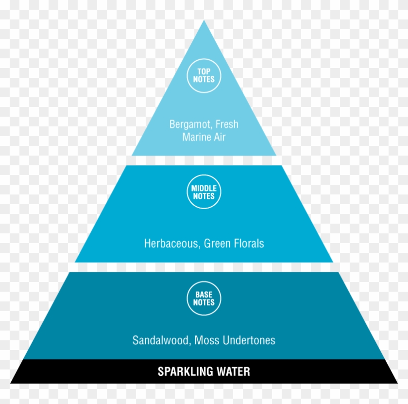 Fragrance Notes Pyramid, HD Png Download - 815x760(#503149) - PngFind