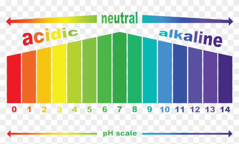 Ph-scale - Ph Scale Unlabeled, HD Png Download - 934x544(#504433) - PngFind