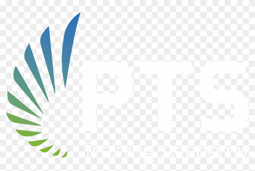 Pts-logo - Graphic Design, HD Png Download - 1404x876(#5004415) - PngFind