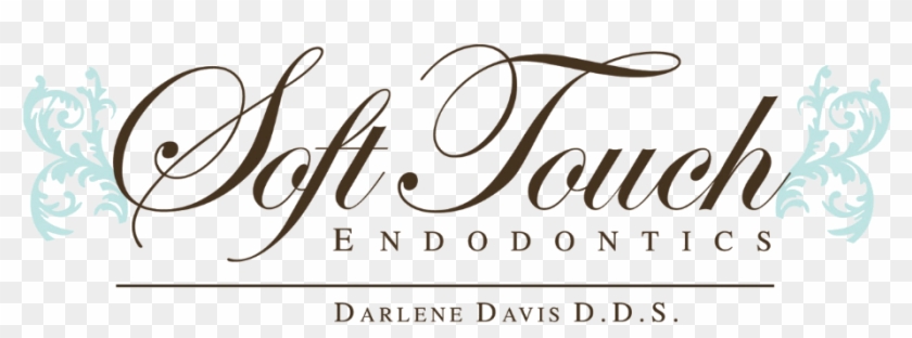 Soft Touch Endodontics - Soft Touch Logo Png, Transparent Png ...