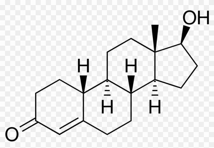 4 Androstenediol, HD Png Download - 1200x804(#5022062) - PngFind