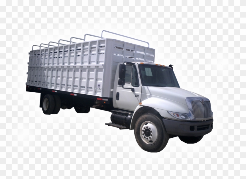 Camion Ganadero - Camion Ganadero Png, Transparent Png - 919x625 ... Camion Ganadero - Camion Ganadero Png, Transparent Png - 919x625 ...