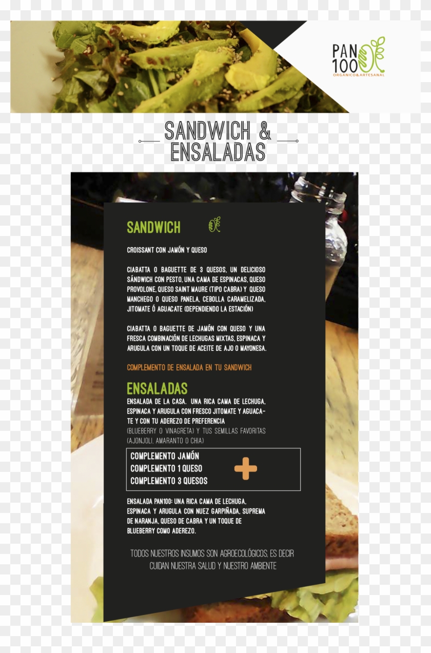 Proudly Powered By Wordpress - Flyer, HD Png Download - 1920x2870 ...