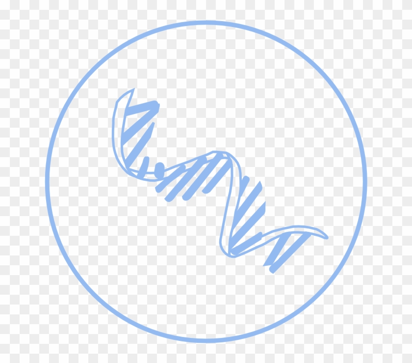 Rna Png - Circle, Transparent Png - 744x744(#5027069) - PngFind