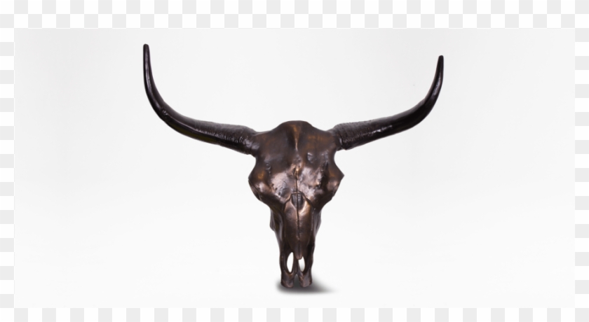 Bull, HD Png Download - 900x900(#5030200) - PngFind