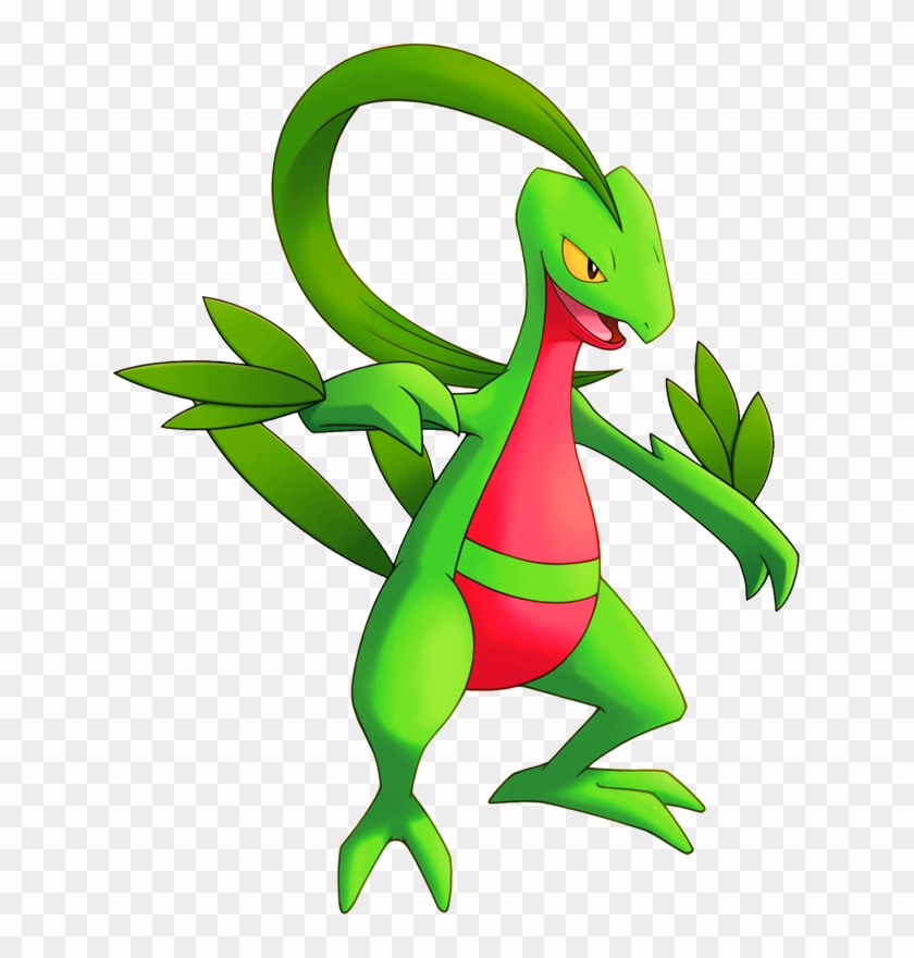Pokemon Shiny Grovyle Is A Fictional Character Of Humans - Pokemon ...