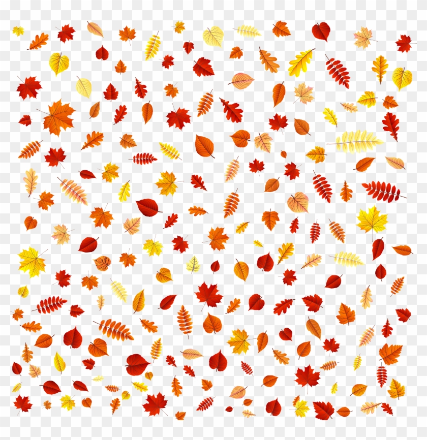 Fall Leaves Overlay Transparent Png Clip Art, Png Download - 6000x5904 ...