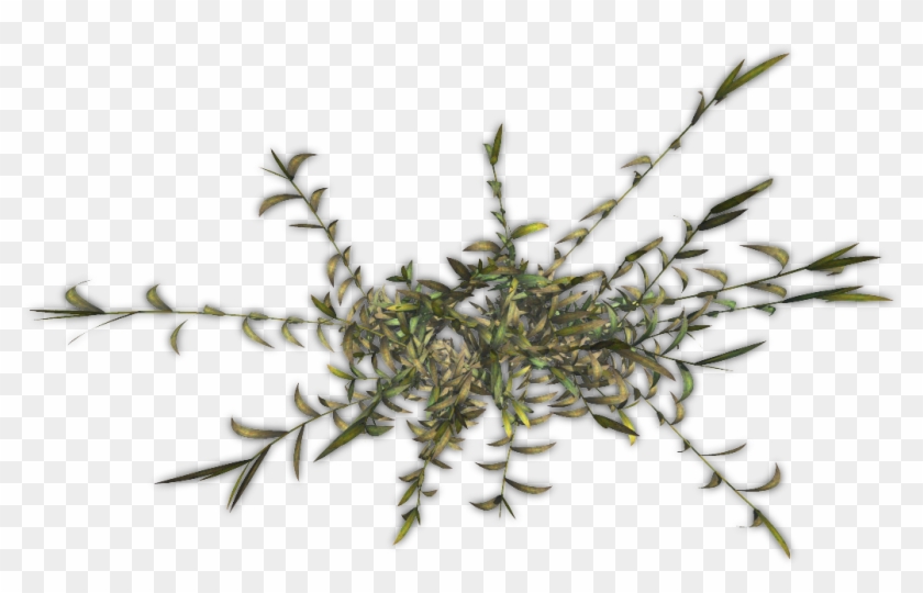 Free Icons Png - Twig, Transparent Png - 1042x682(#517229) - PngFind