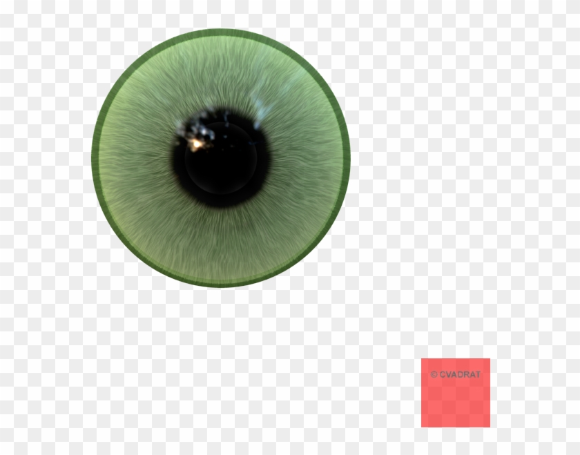 Realistic Eye Png - Macro Photography, Transparent Png - 580x579 ...