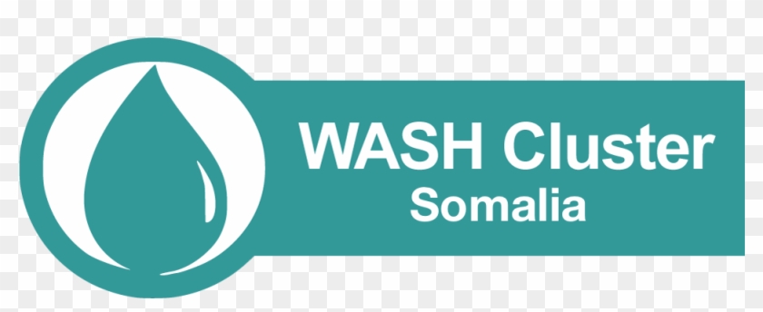 Wash Cluster Logo