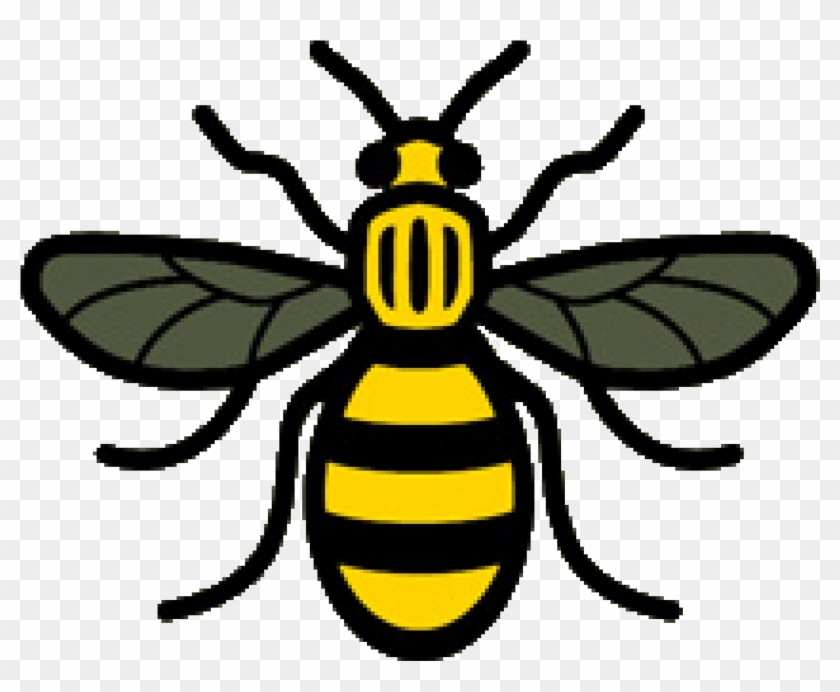 Manchester, Bee, Worker Bee, Fly, Honey Bee Png Image - Manchester Bee ...