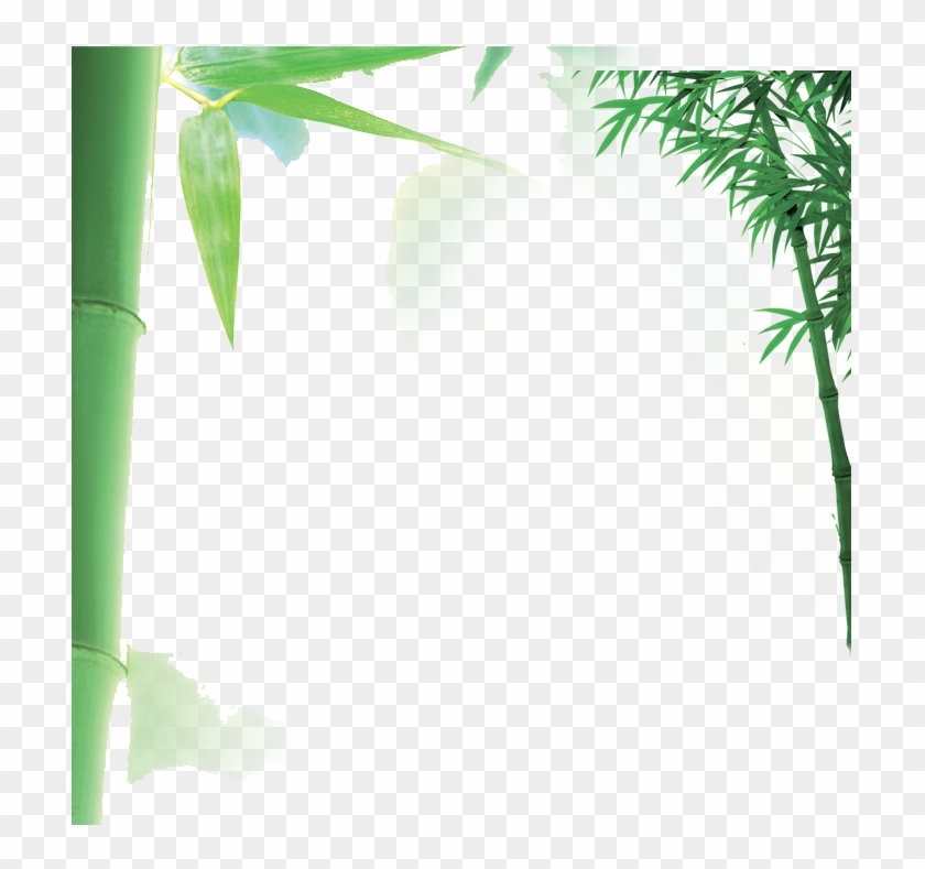 Bamboo Vector Border - Green Bamboo Borders Png, Transparent Png ...