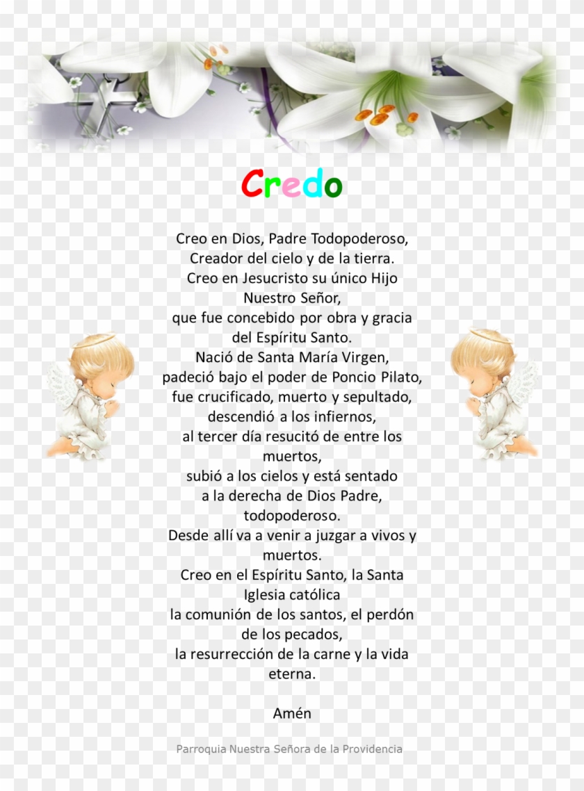 Image - Credo Catolico Para Niños, HD Png Download - 1125x1482(#5168016 ...