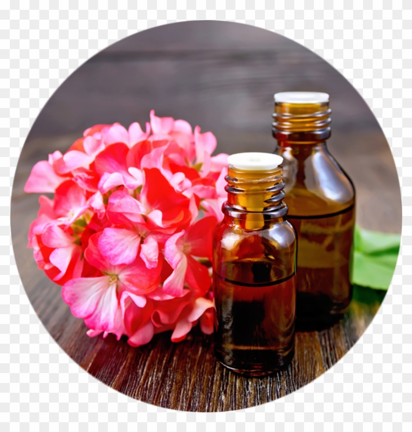 Geranium Ingredients, HD Png Download - 937x938(#5236122) - PngFind