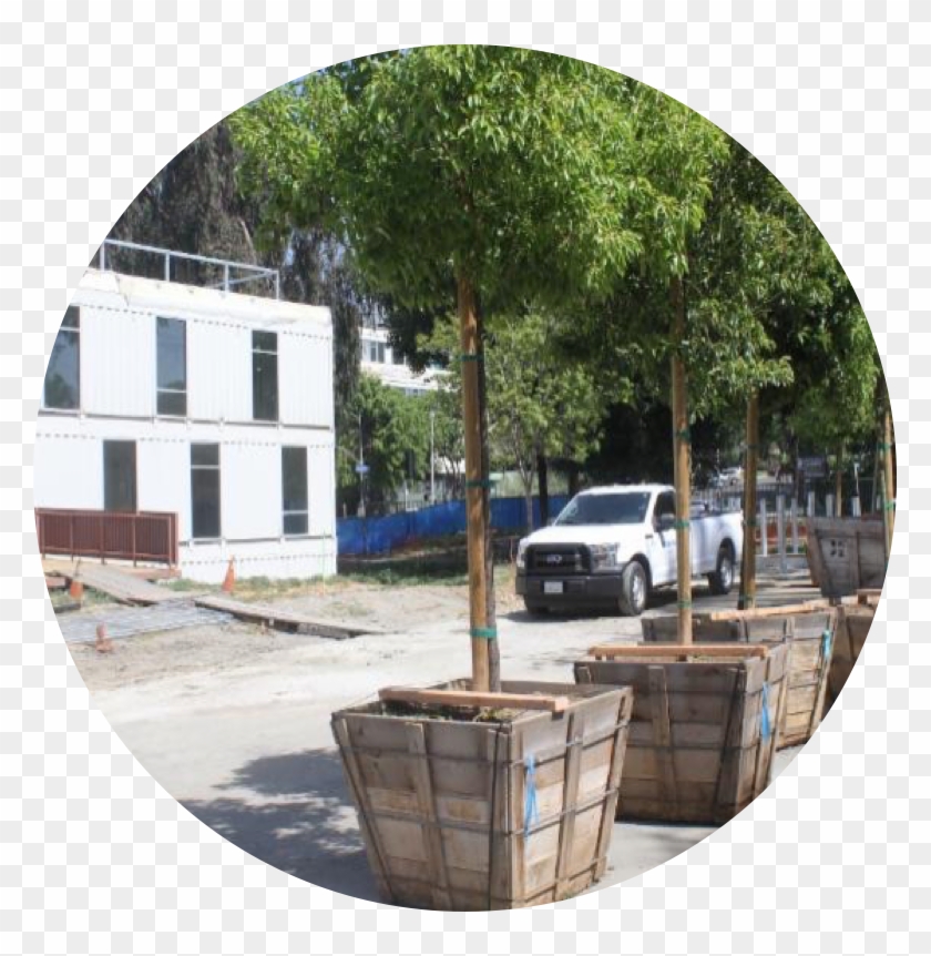 Architecture Tree Png, Transparent Png - 779x782(#5289529) - PngFind