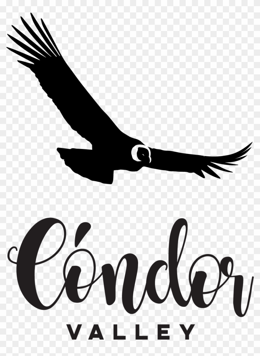 Condor Png, Transparent Png - 950x1255(#5300475) - PngFind