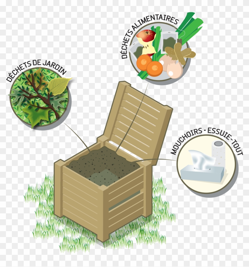Compost - Compostage, HD Png Download - 1581x1588(#5323146) - PngFind