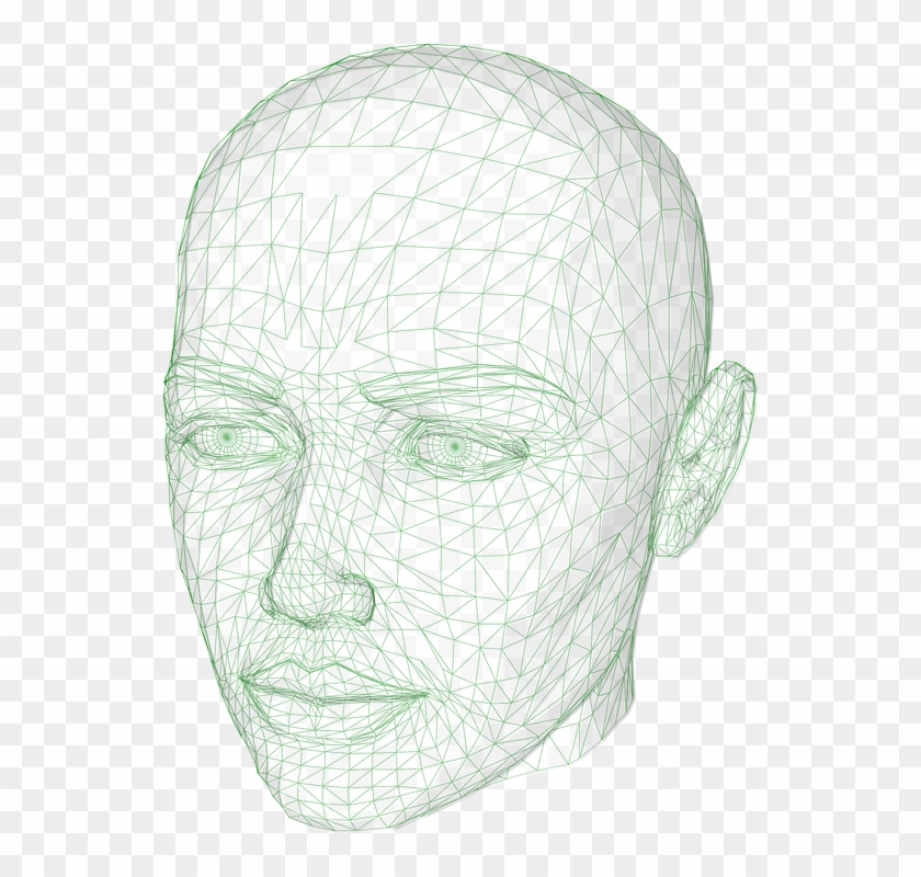 Head Wireframe Graphics Model 3d Human Computer - 3d Model Head ... Head Wireframe Graphics Model 3d Human Computer - 3d Model Head ...