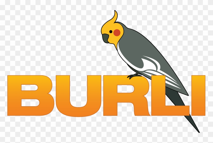 Burli Logo - Burli, HD Png Download - 781x484(#5337617) - PngFind