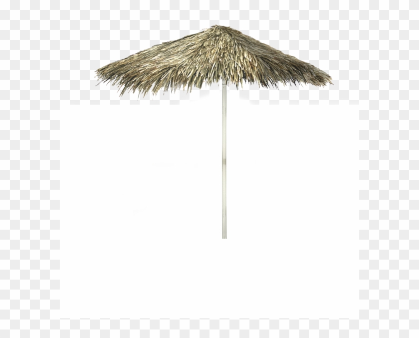 Palapa Png, Transparent Png - 600x597(#5366677) - PngFind